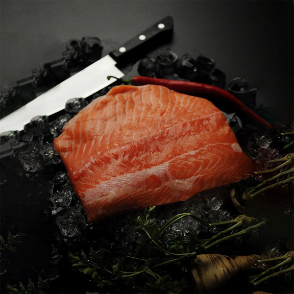 First Contact Day Salmon Recipe – Star Trek Unlimited