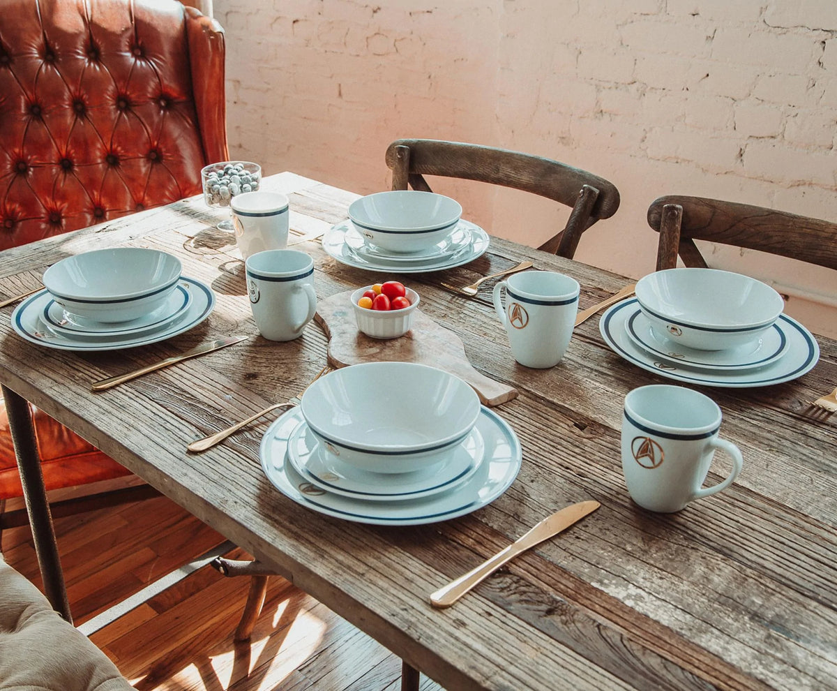 Star Trek: Picard 25th Century 16-Piece Ceramic Dinnerware Set Replica ...