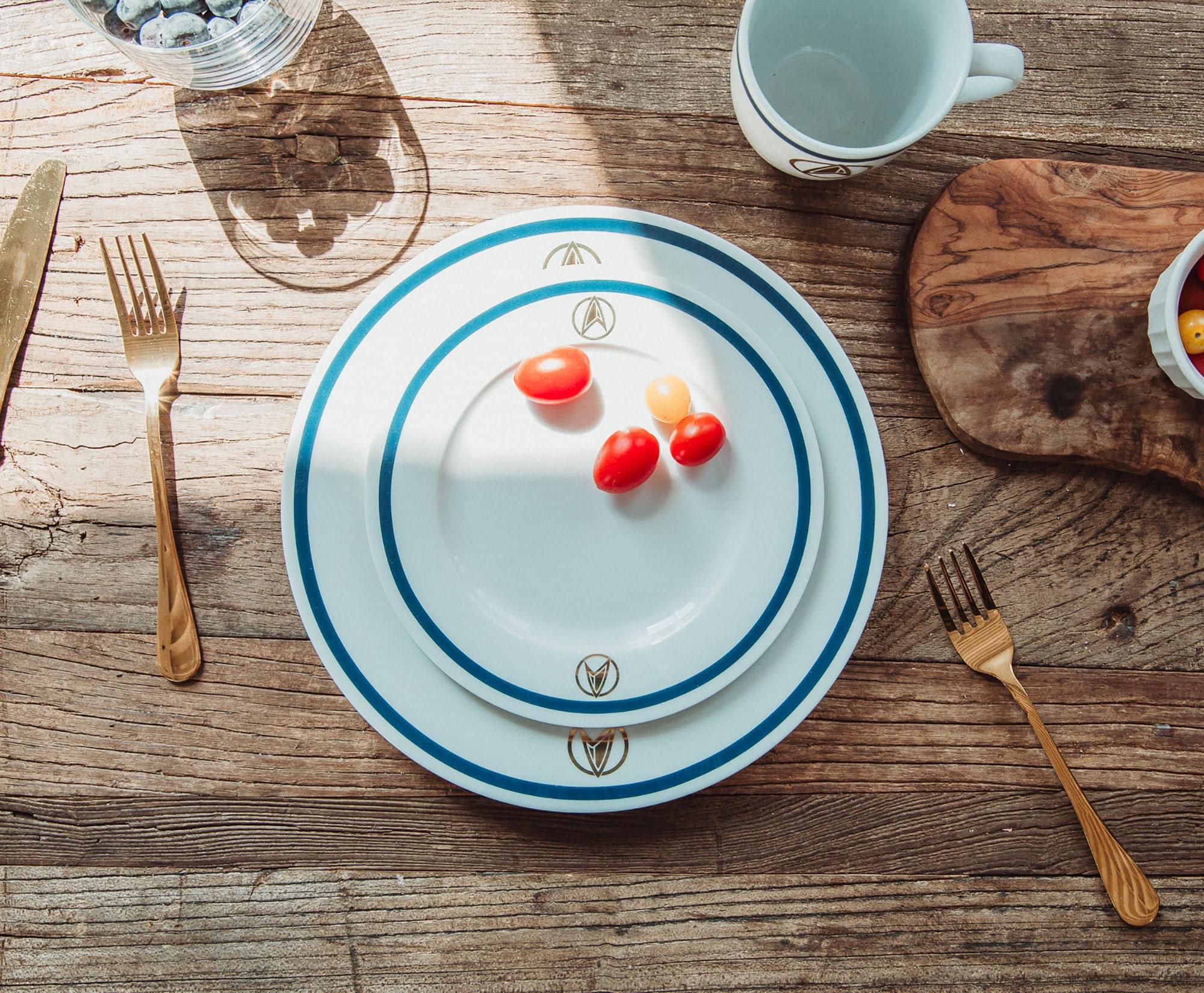 Star Trek: Picard 25th Century 16-Piece Ceramic Dinnerware Set Replica ...